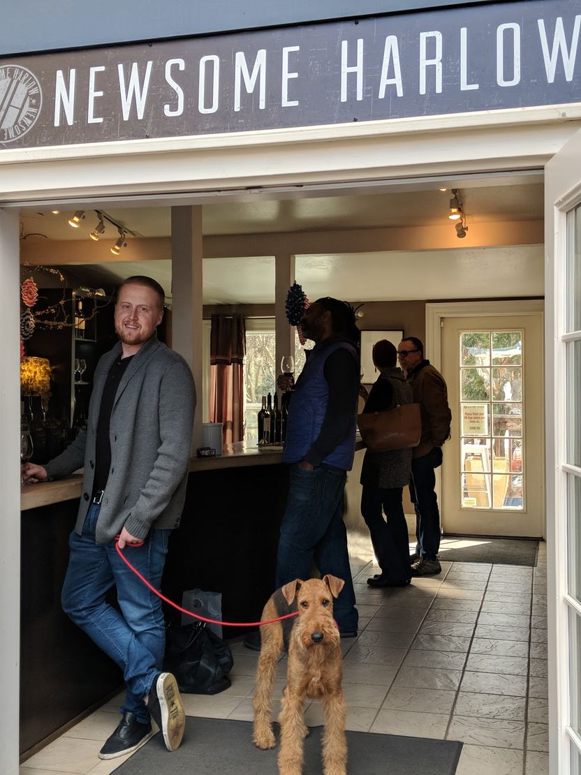 Newsome Harlow in Murphys | consistently superior wines